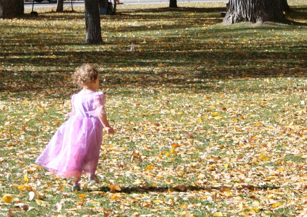 Five Healthy and Fun Family Activities for Fall - Senior Care Central